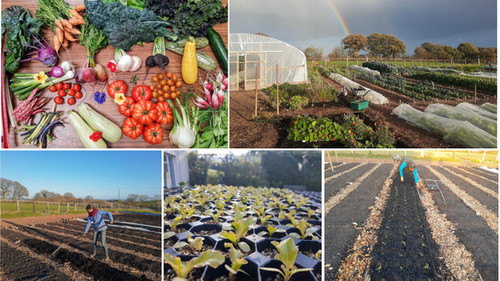 Regenerative Vegetable Gardening Course | Orto Foresta