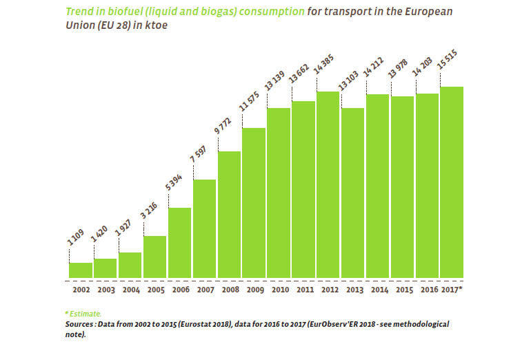 Biofuels: all you need to know about making energy from living things