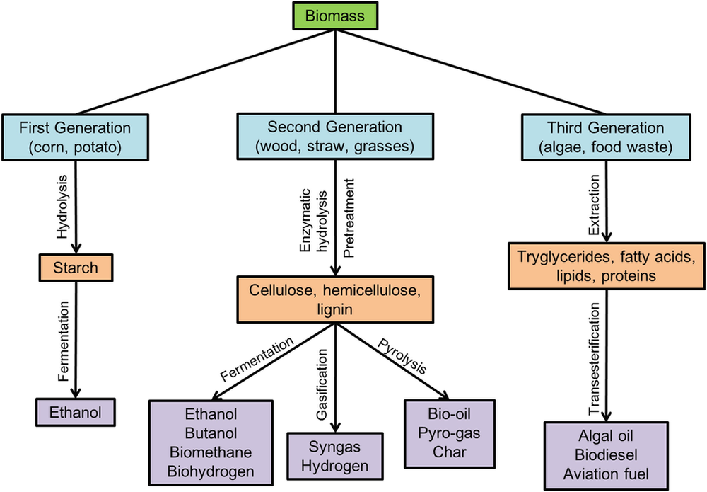Biofuels: all you need to know about making energy from living things