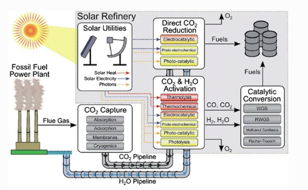 Biofuels: all you need to know about making energy from living things