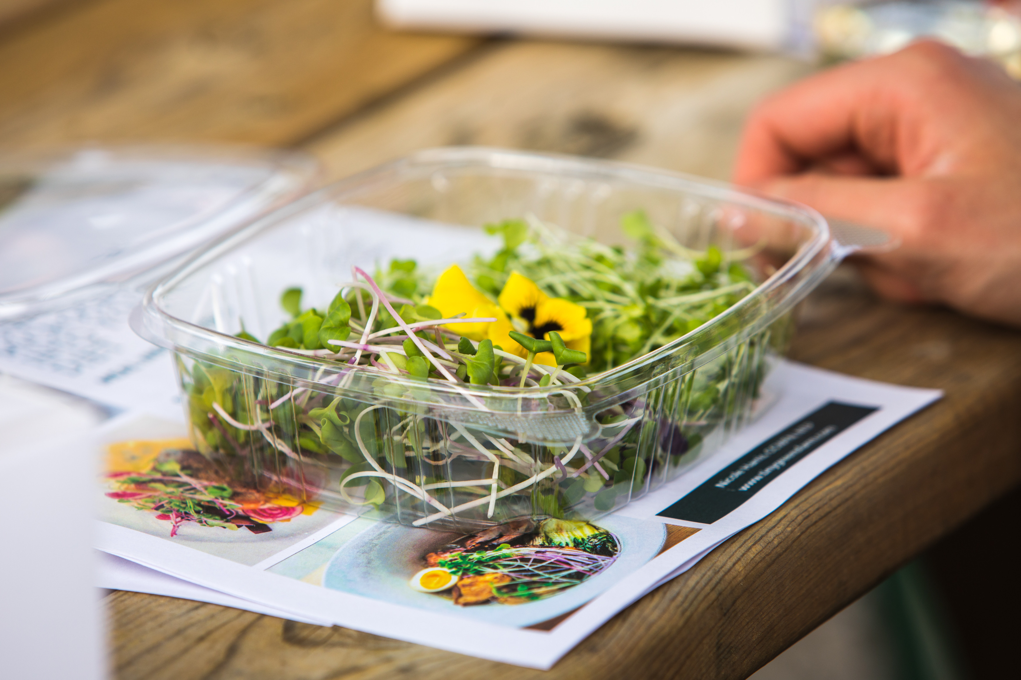 A Micro Journey | Summer Solstice Planting Workshop | Tiny Greens Farm