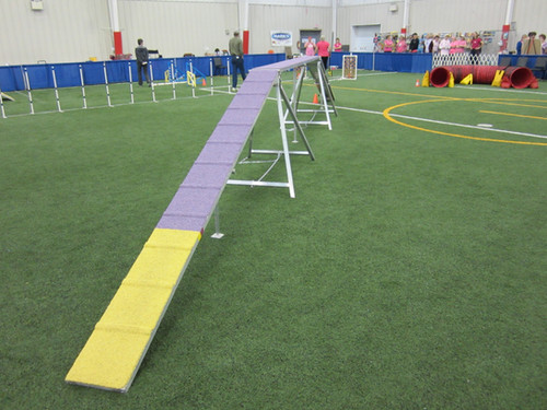 Dog Walk - 12ft Adjustable | Mark's Agility