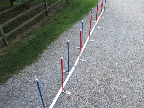 Channel Weave Poles - 12 poles | Mark's Agility