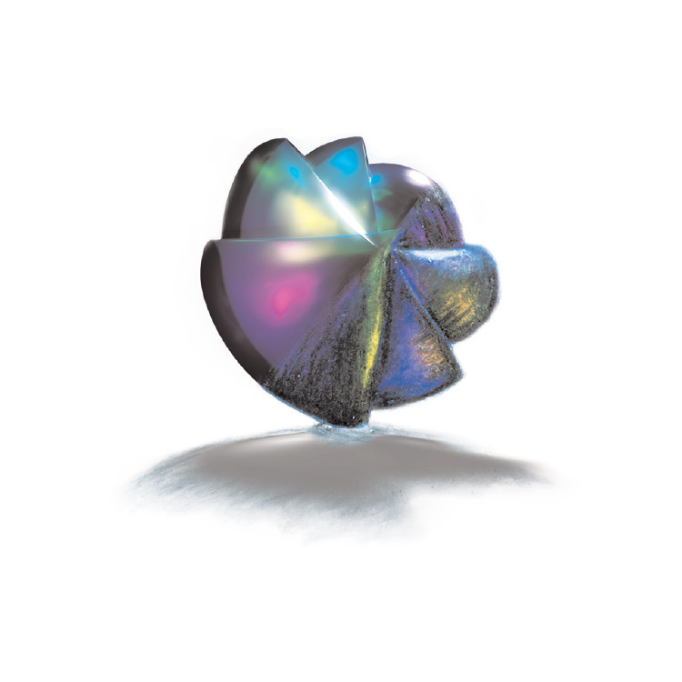 About Envizion and Services | EnviZion