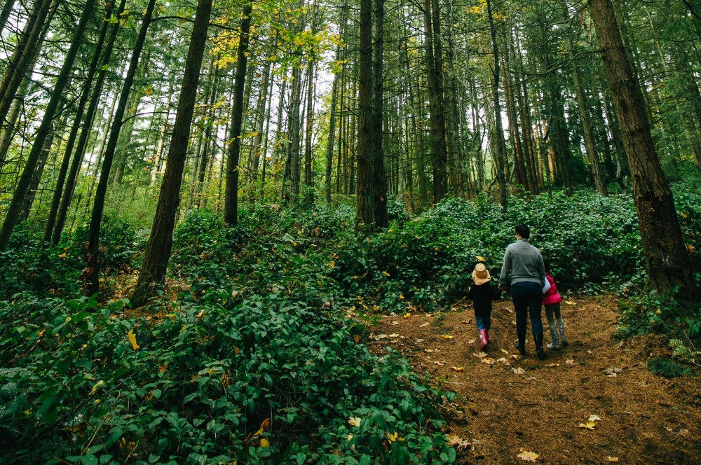 Shelton View Forest trail map