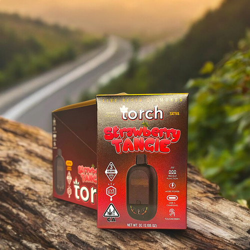 Torch Pebble 3g | NCT