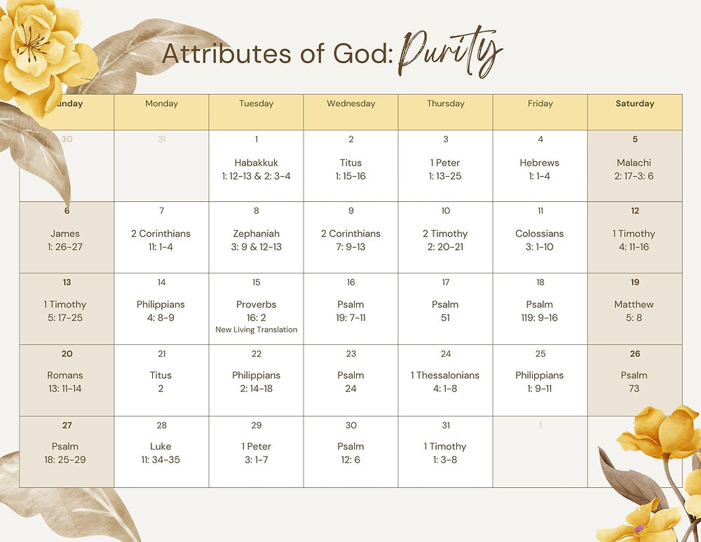 The Attributes of God: Purity