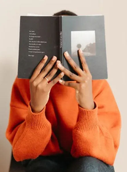 2024 Library Staff Picks!