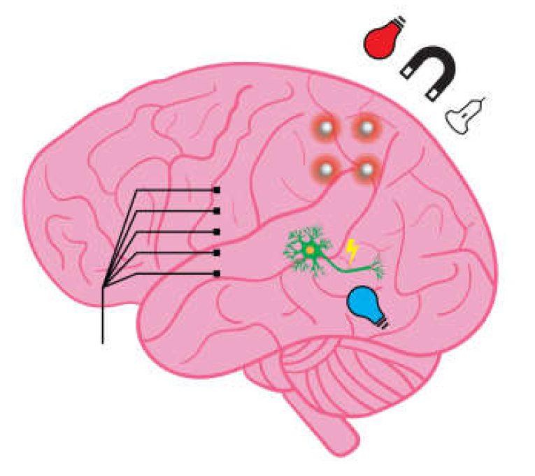 18. Nano functional neural interfaces | Luan Lab
