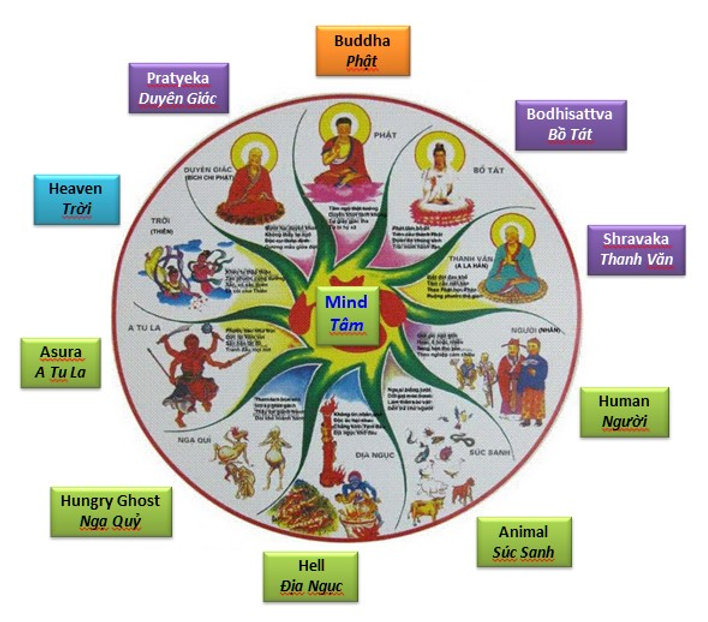 The Realms of Reincarnation