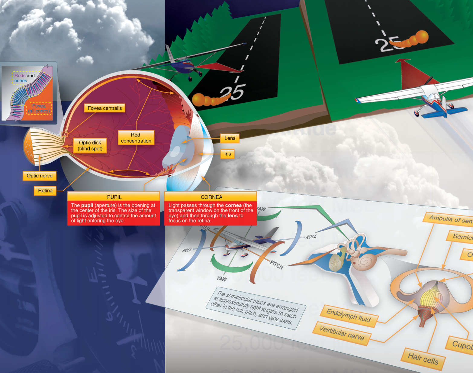 Aeromedical Factors Free United Flight