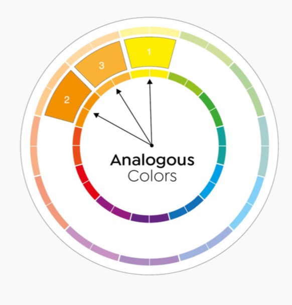How to Use the Color Wheel? The Fundamentals of Color Theory 🎨