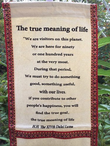 Banner with message on True meaning of life | Paramita Toronto