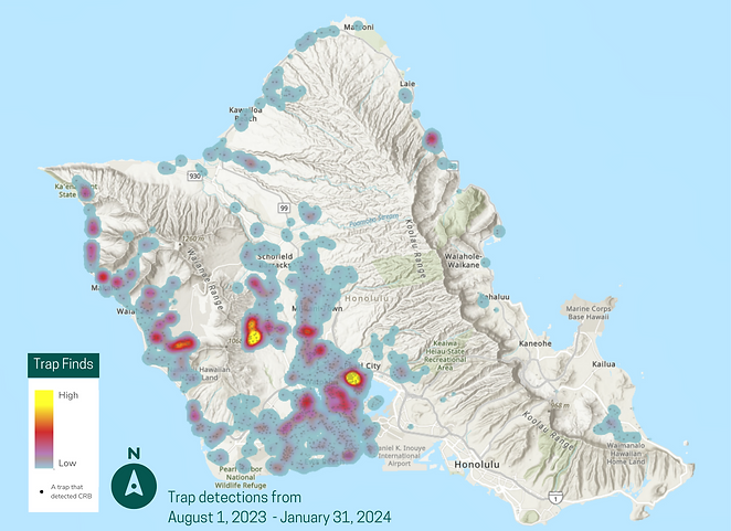 Current Status | CRB Hawaii
