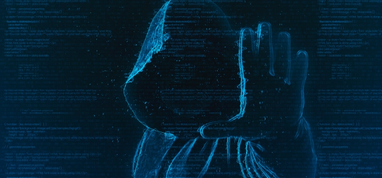 IntelliGuards Cybersecurity Solutions & Protection of Digital Assets