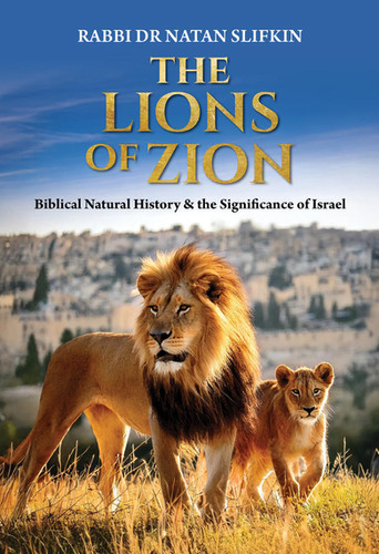 The Lions of Zion - US Shipping | Biblical Museum
