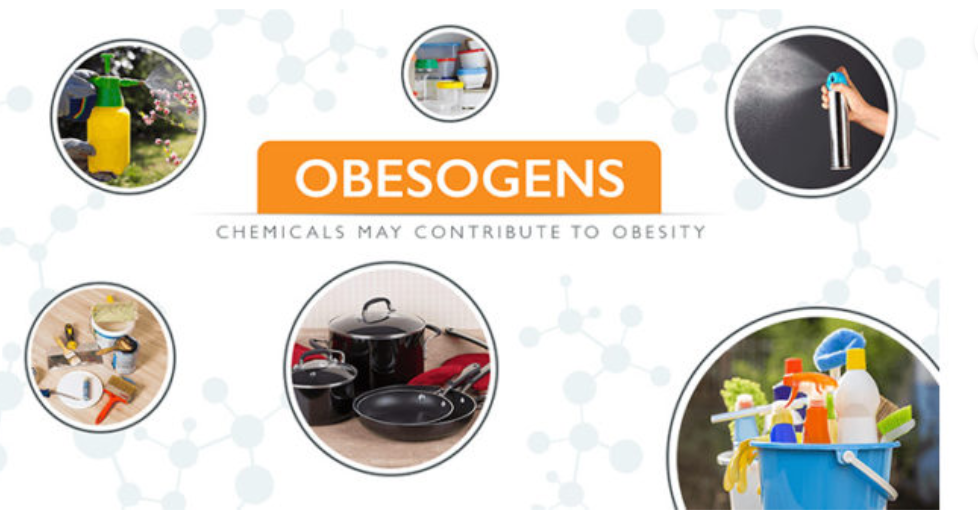 Environmental Obesogens