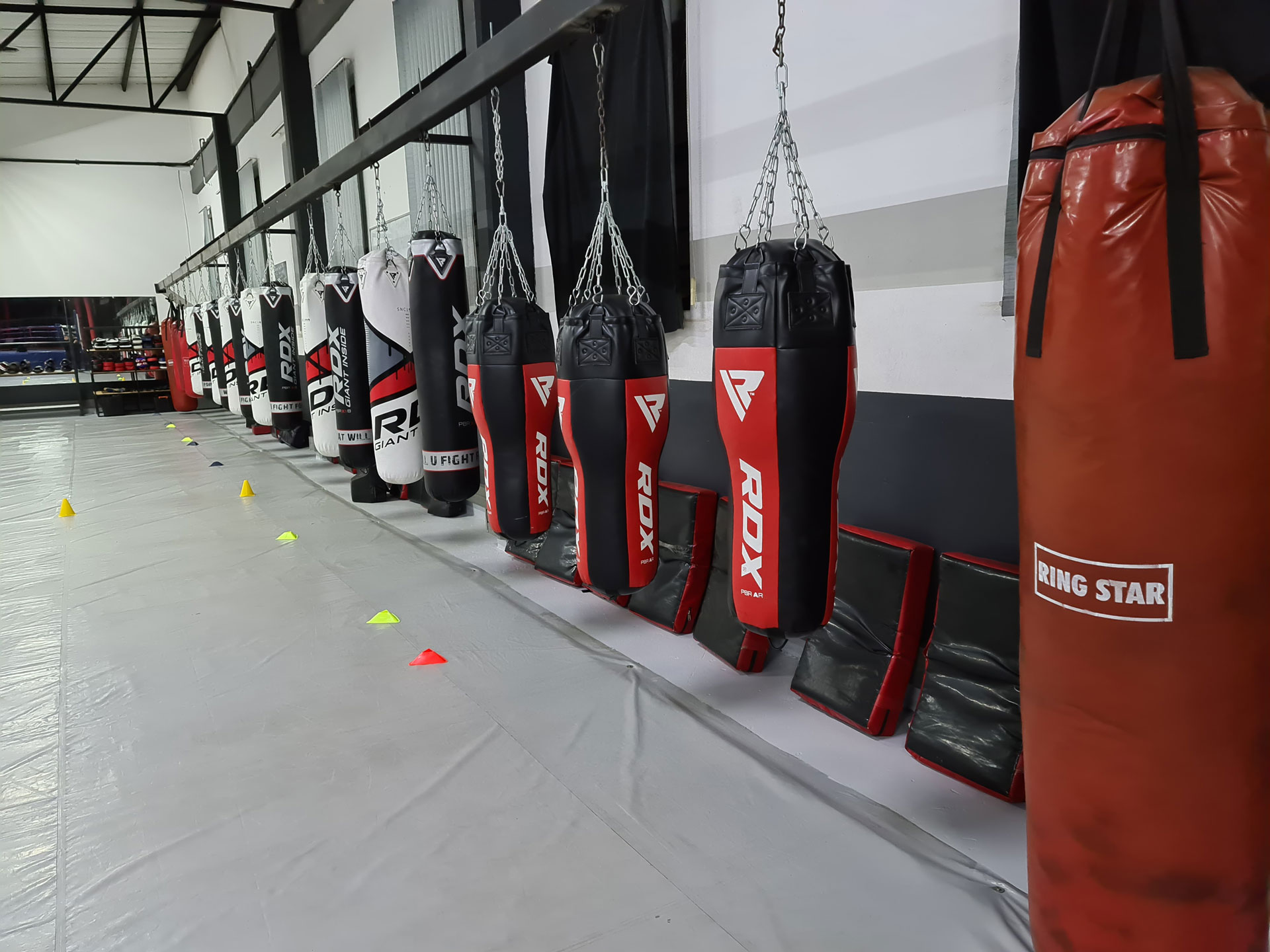Home | Warrior Sports Martial Arts and Fitness Academy