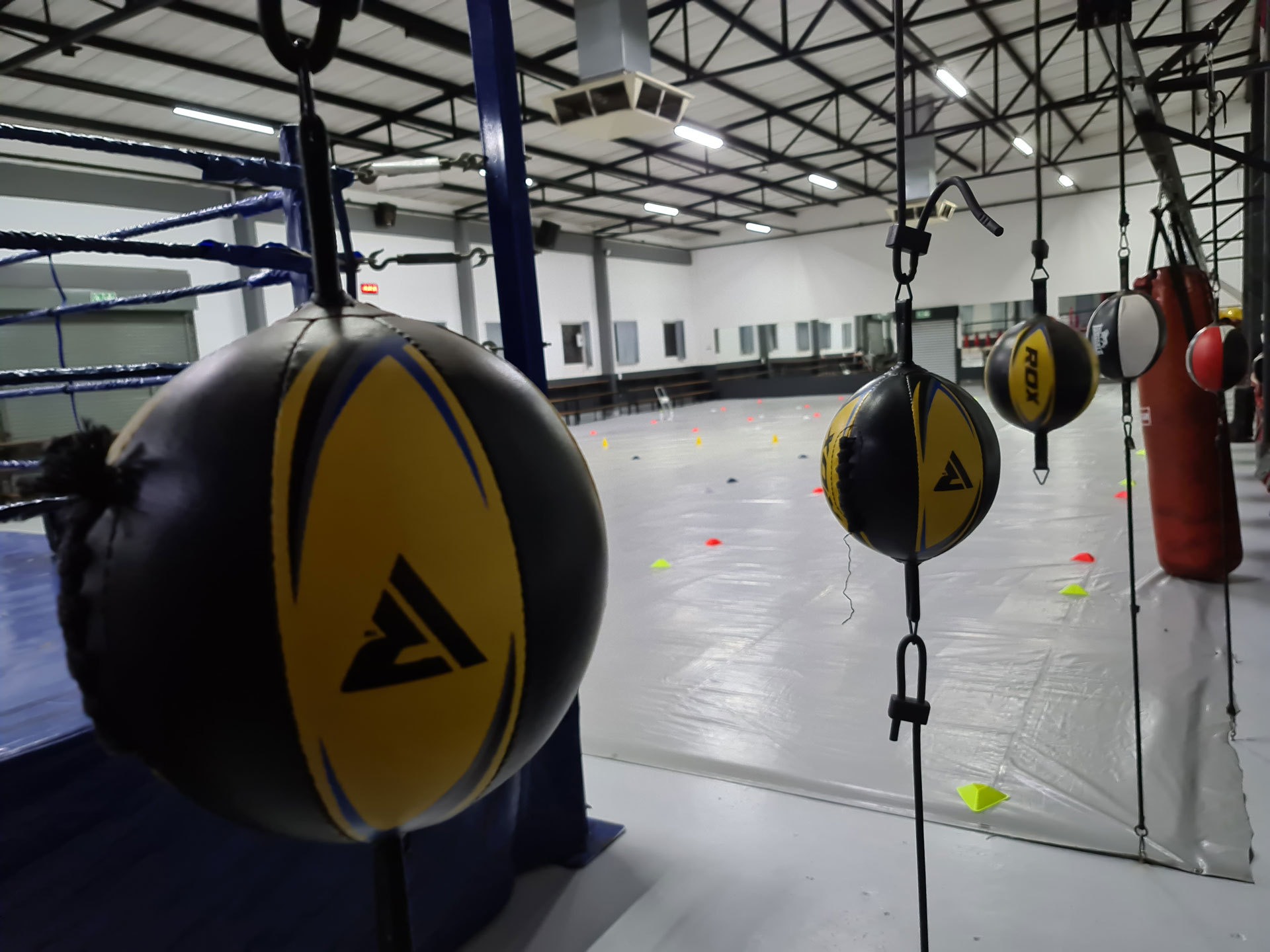 Home | Warrior Sports Martial Arts and Fitness Academy