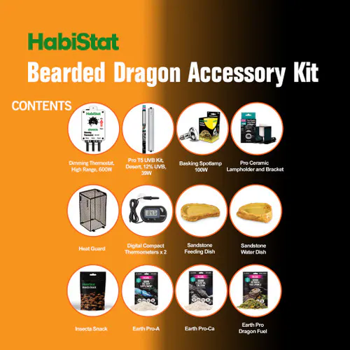 Bearded Dragon Accessory Kit | Coopz Reptiles