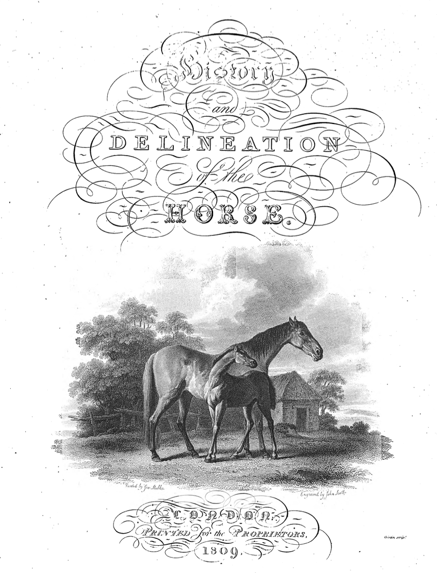 The History and Delineation of the Horse in All His Varieties | Horse ...