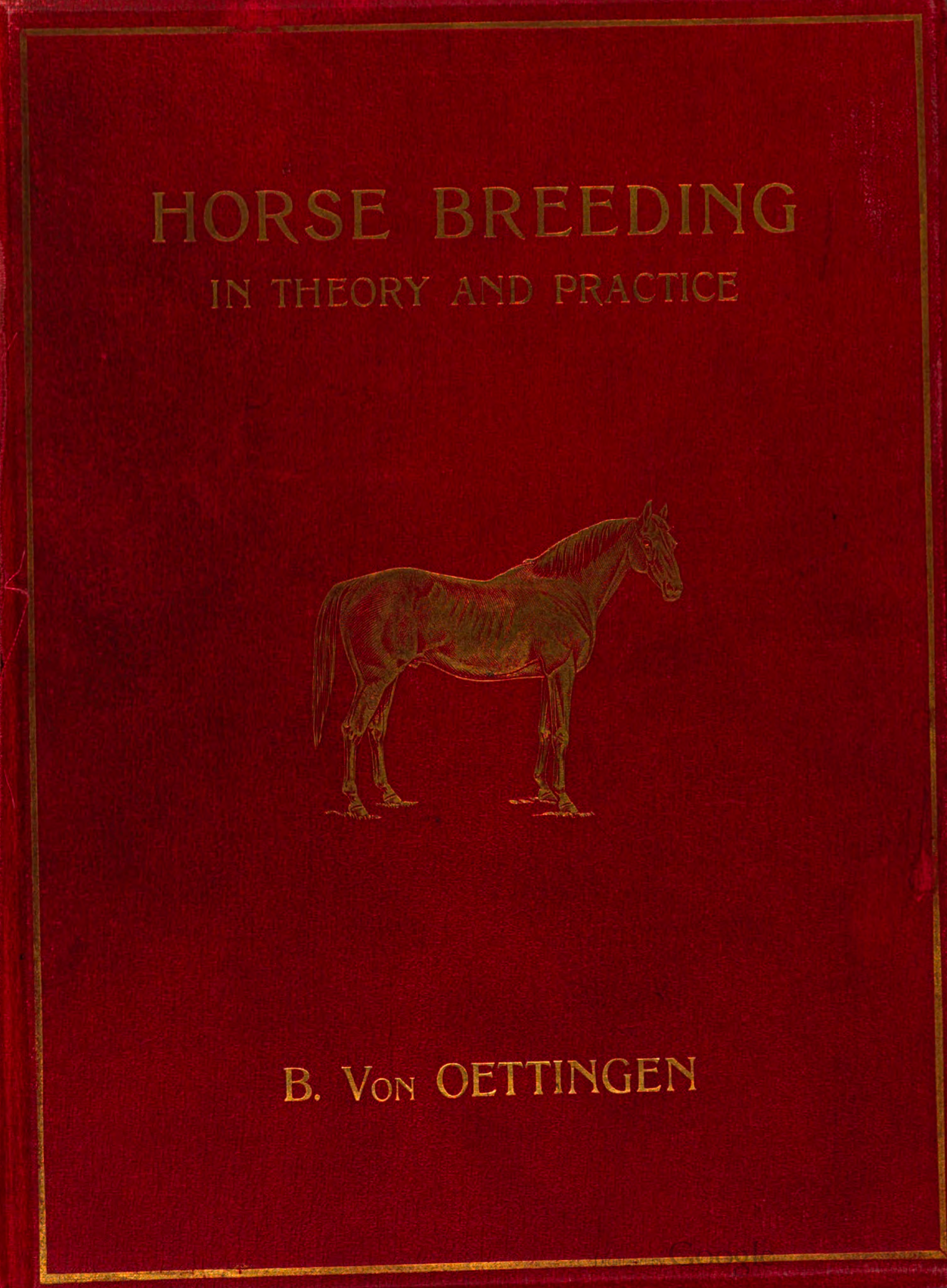Horse Breeding in Theory and Practice | Horse Education Online
