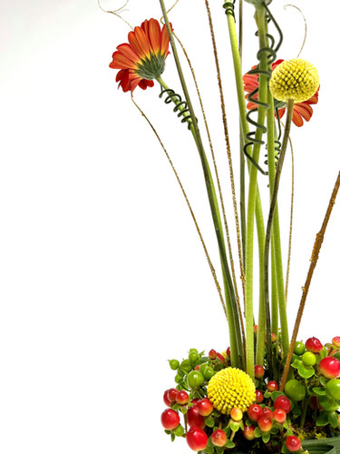 Floral Design Introduction | kdiof