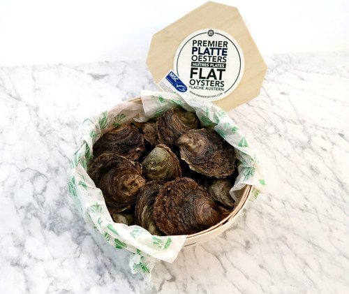 Platte Zeeuwse oesters 5o | viskoop