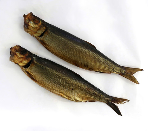 Koud gerookte Haring / Spekbokking | viskoop