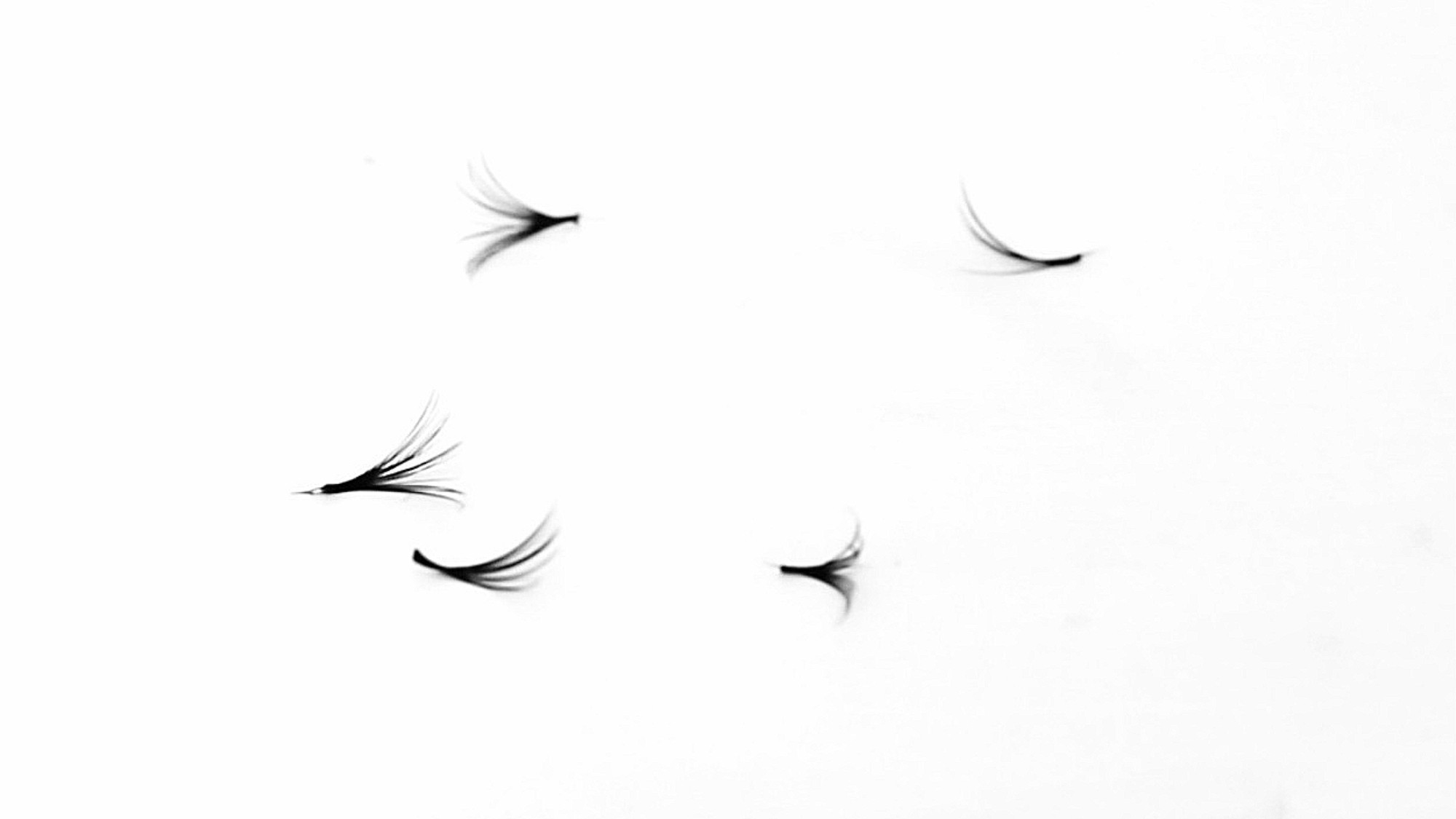 Why Do Eyelashes Fall Out? Understanding the Lash Shedding Cycle