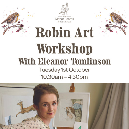 Robin Artwork Workshop - Tuesday 1st October 2024 | Drewtons