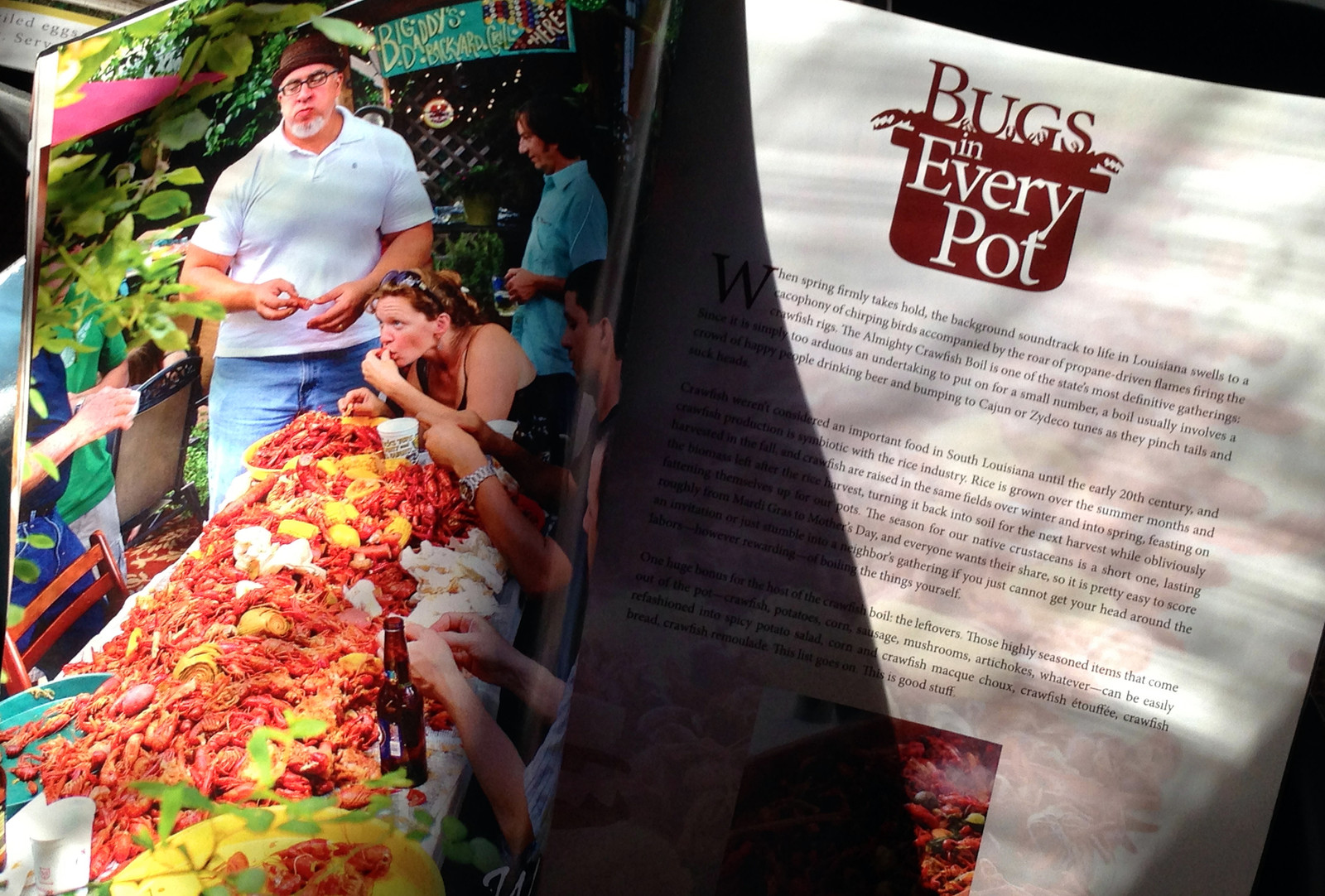 SCOTT OTT CREATIVE INC. web design new orleans, print & graphic design