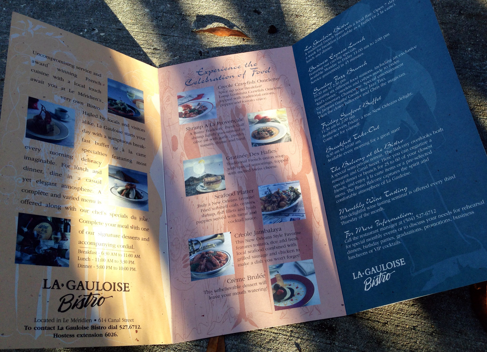 SCOTT OTT CREATIVE INC. web design new orleans, print & graphic design