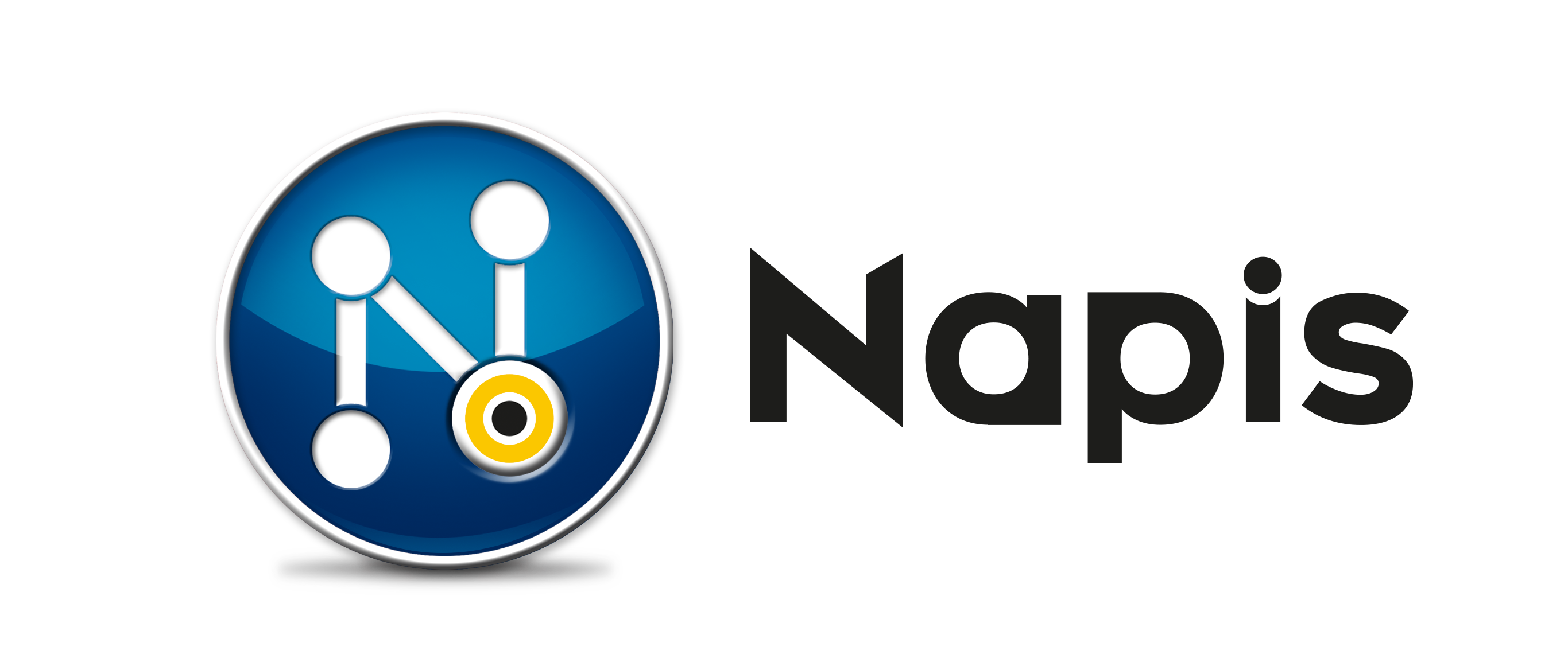 Napis - Gestão de Equipes Externas