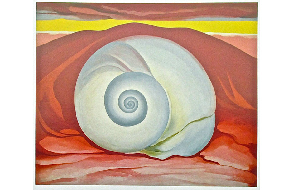 Georgia O'Keeffe and Shells