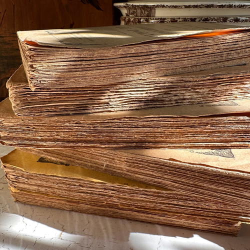 French hand cut frothy paged history books from Paris | Quintessentially Fr