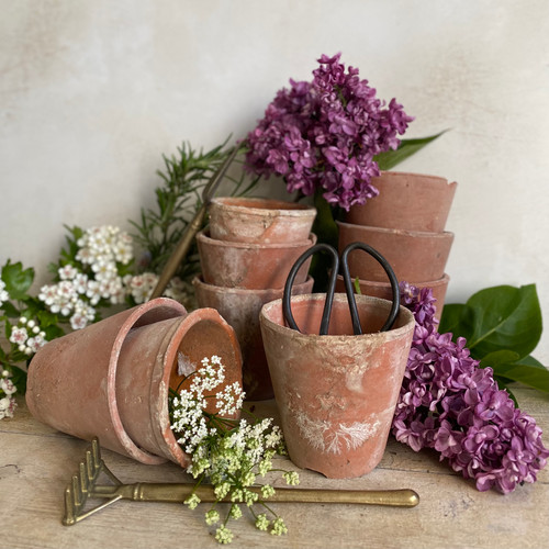 Vintage French rustic terracotta pots set of three | Quintessentially Fr