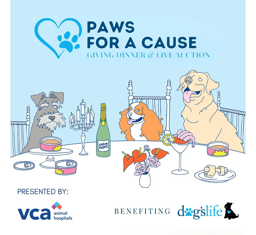 Paws for a Cause! | Dogslife