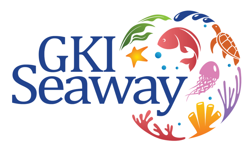 Shell-abrating new life on Great Keppel Island