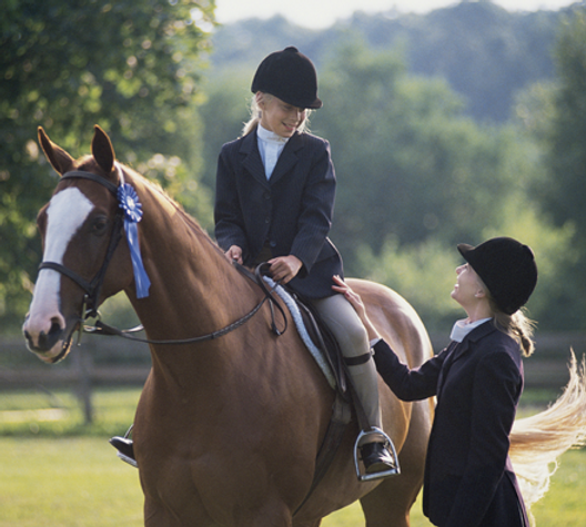 NYS 4-H Educational Horse Prep Sessions