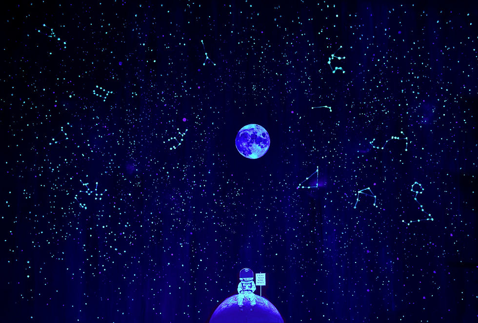 Veronica Green | Artist | Venice