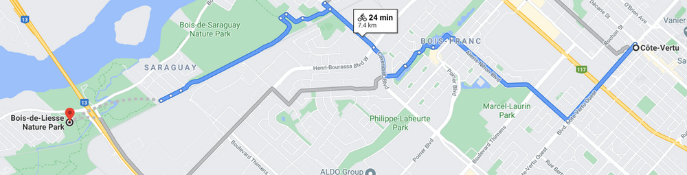 Best Bike Paths in Montreal