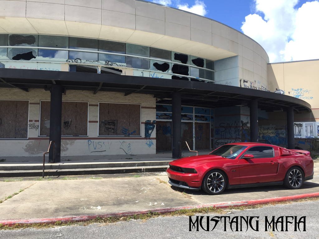 PHOTO GALLERY | MUSTANG MAFIA USA
