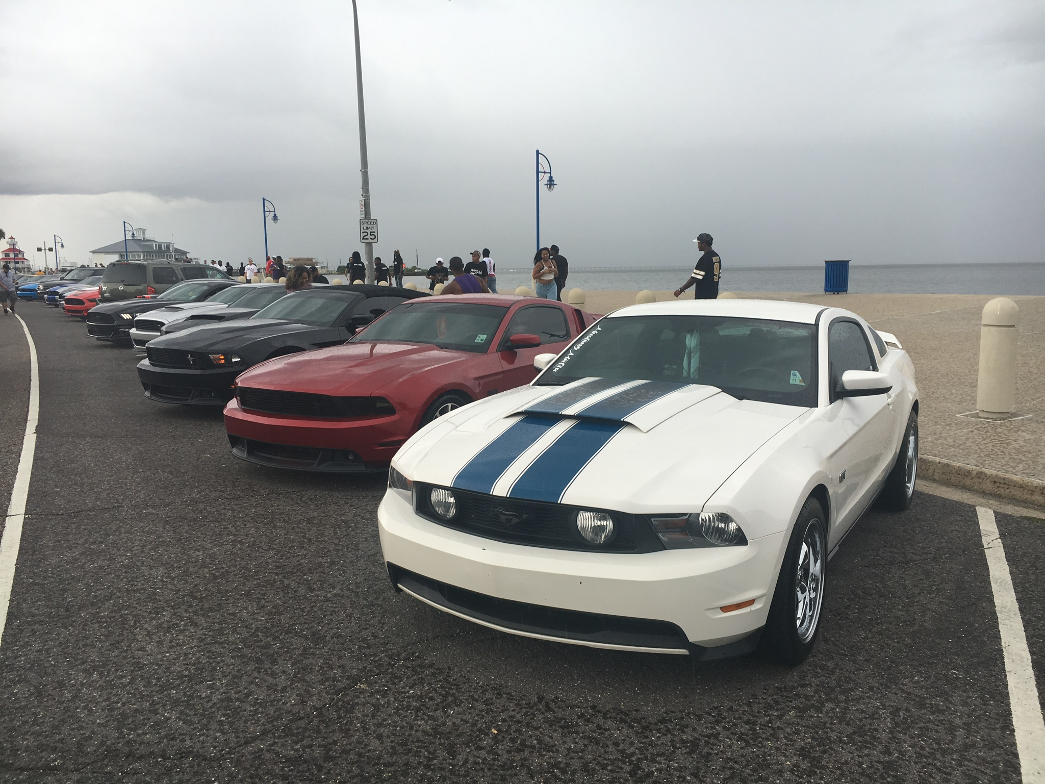 PHOTO GALLERY | MUSTANG MAFIA USA