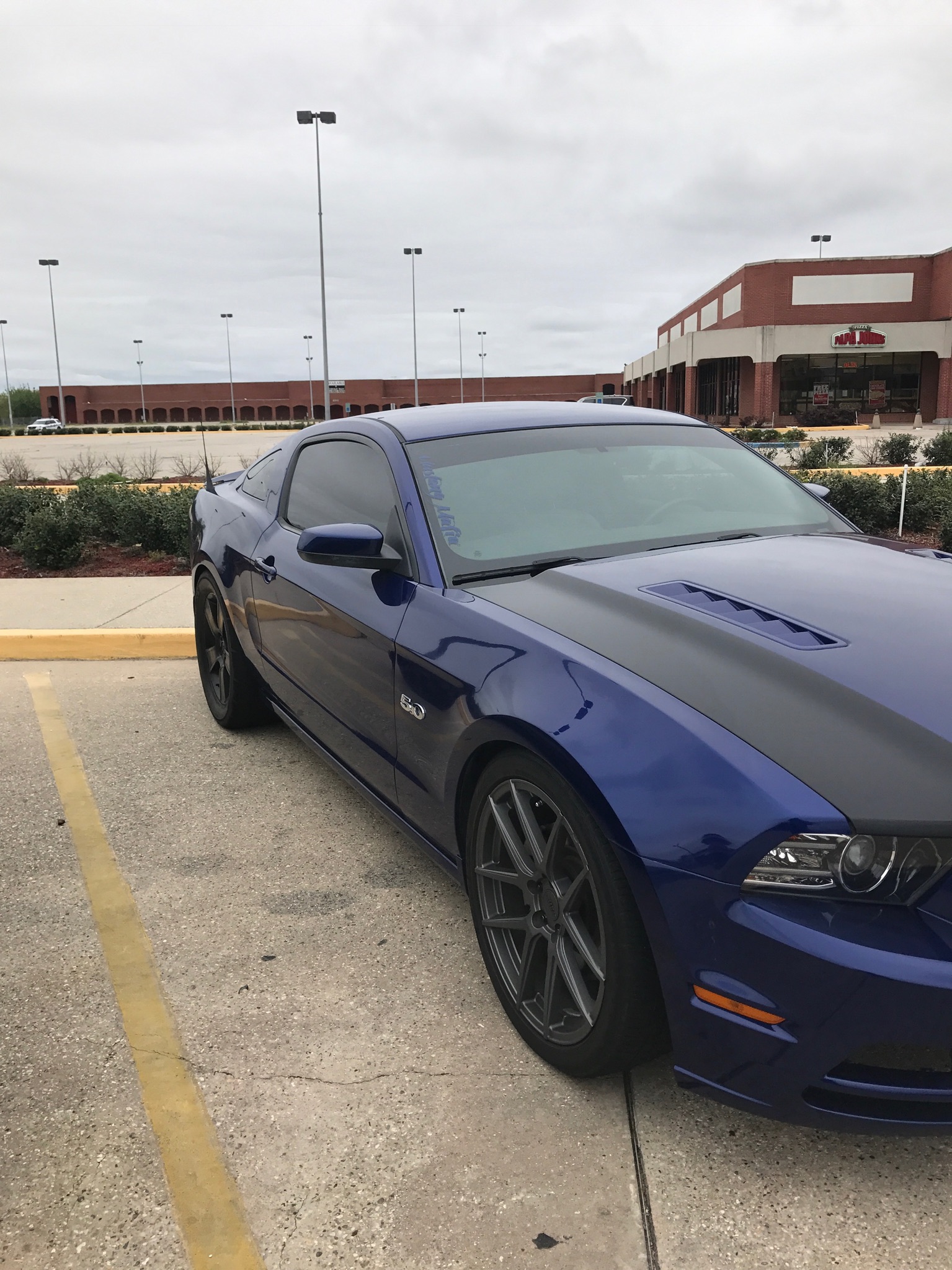PHOTO GALLERY | MUSTANG MAFIA USA