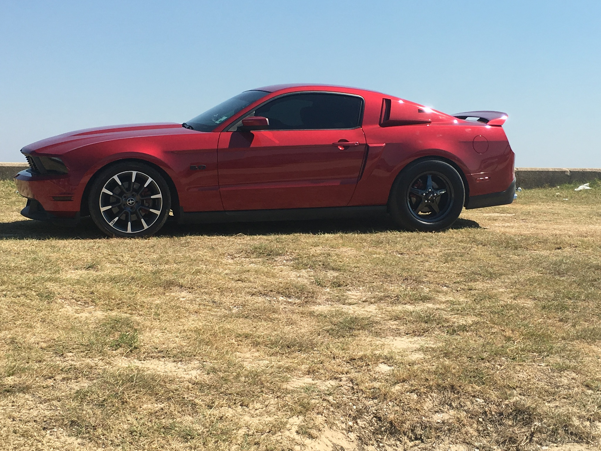 PHOTO GALLERY | MUSTANG MAFIA USA