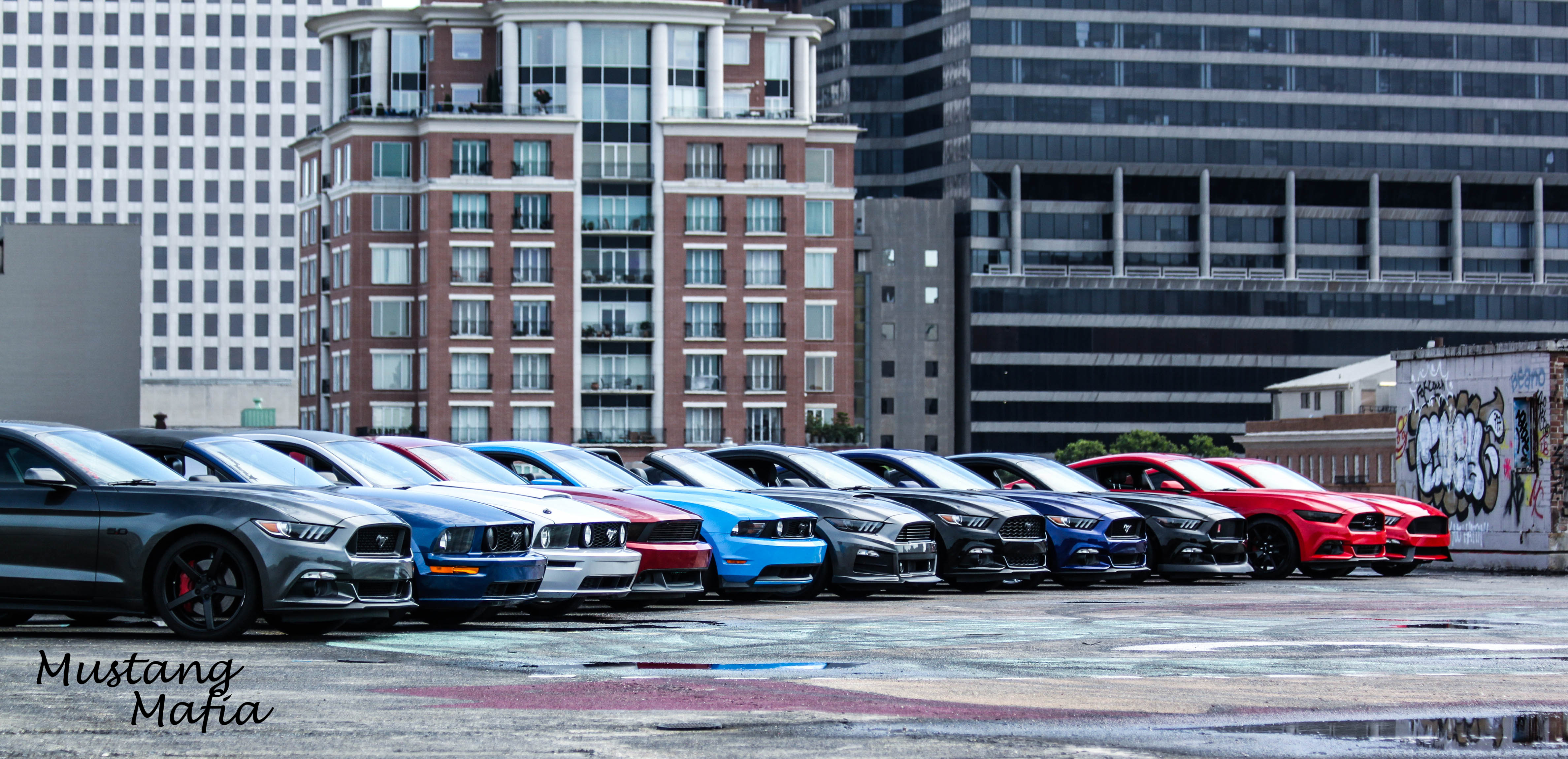 PHOTO GALLERY | MUSTANG MAFIA USA