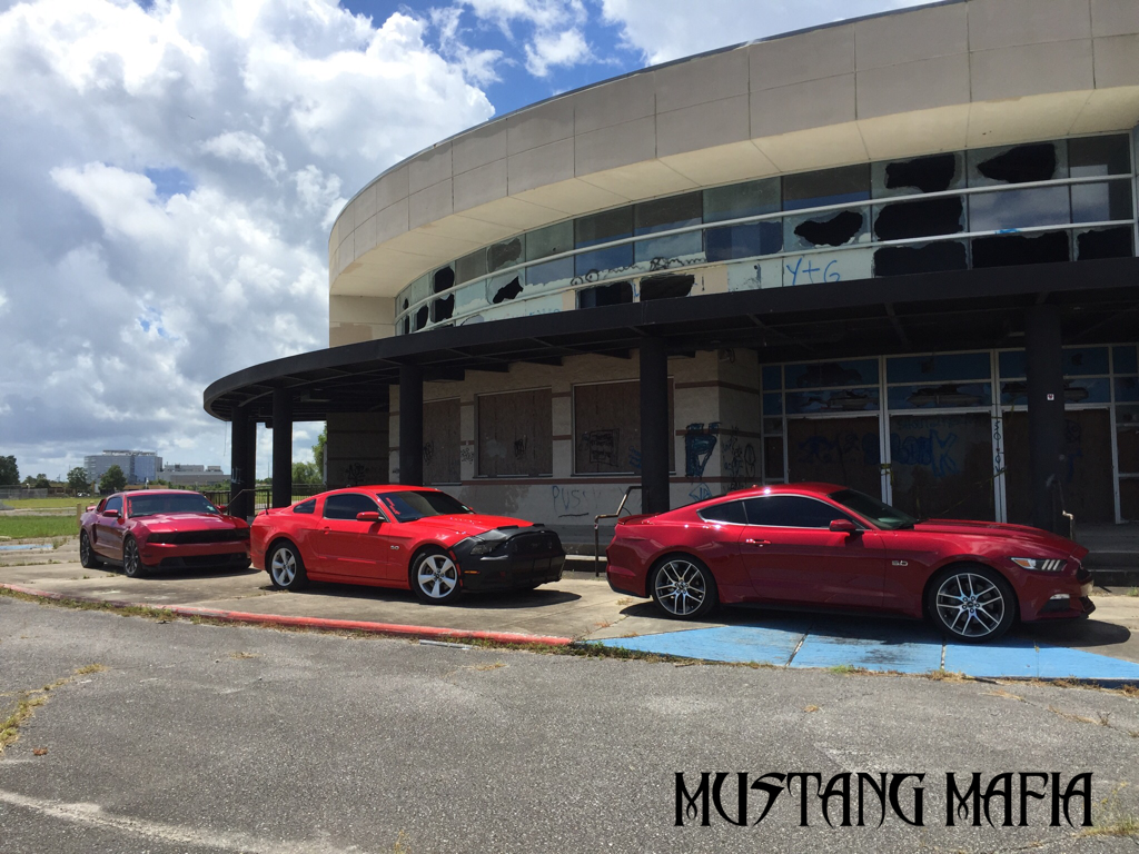 PHOTO GALLERY | MUSTANG MAFIA USA