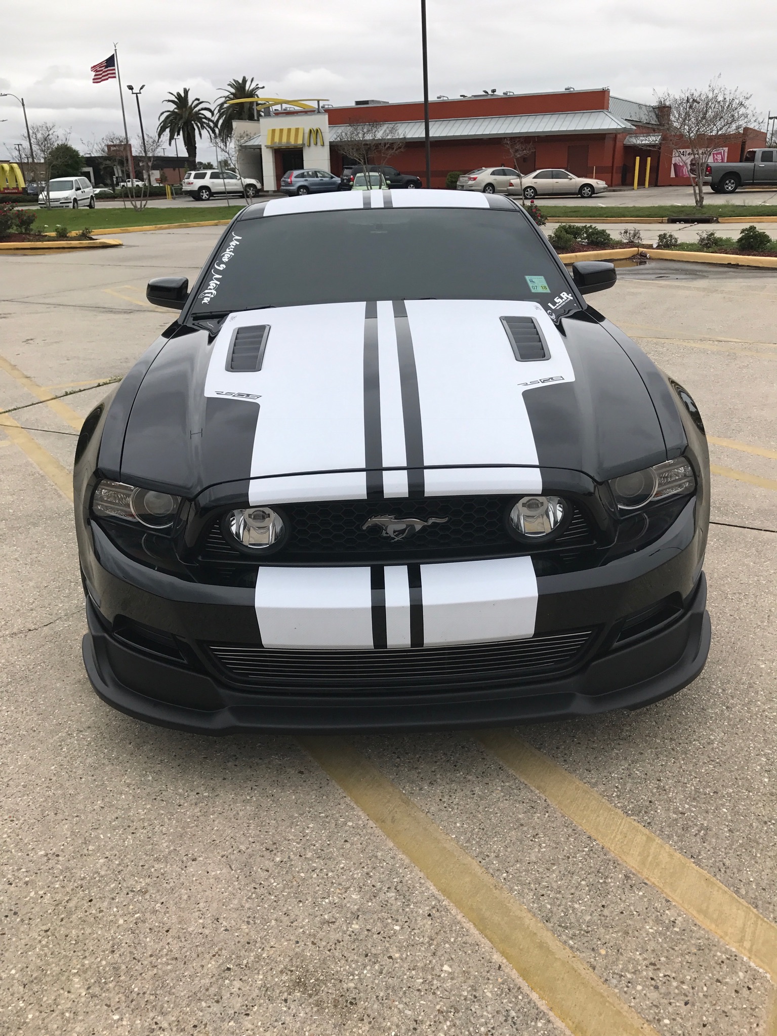 PHOTO GALLERY | MUSTANG MAFIA USA