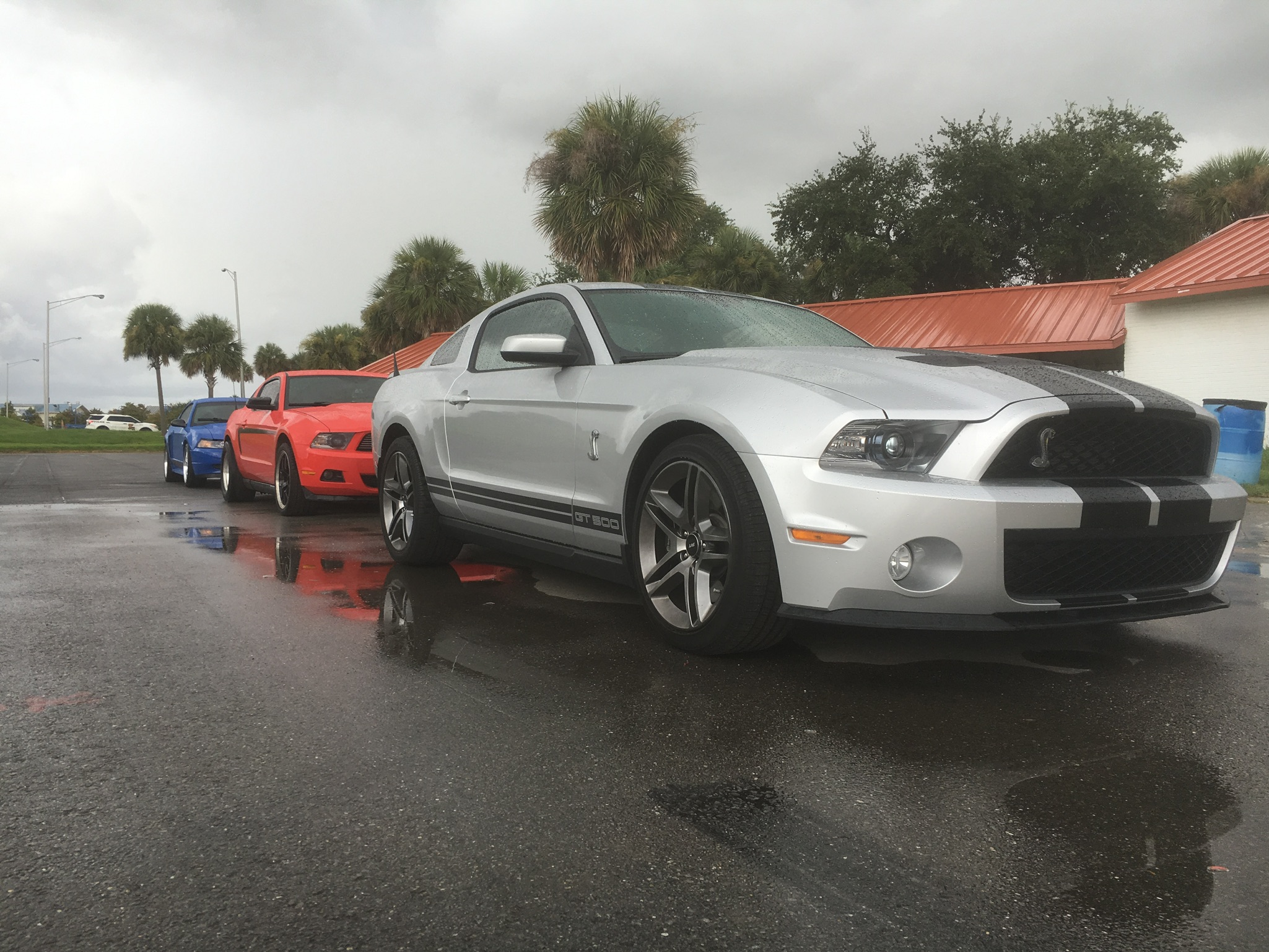 PHOTO GALLERY | MUSTANG MAFIA USA